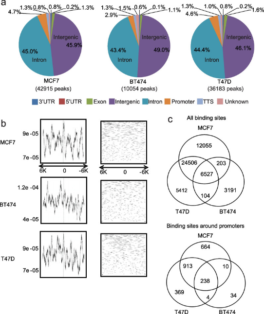 Cell Commun Signal｜ChIP-seq和Bru-seq揭示转录因子GRHL2在管腔型乳腺癌中的调控网络 - 知乎