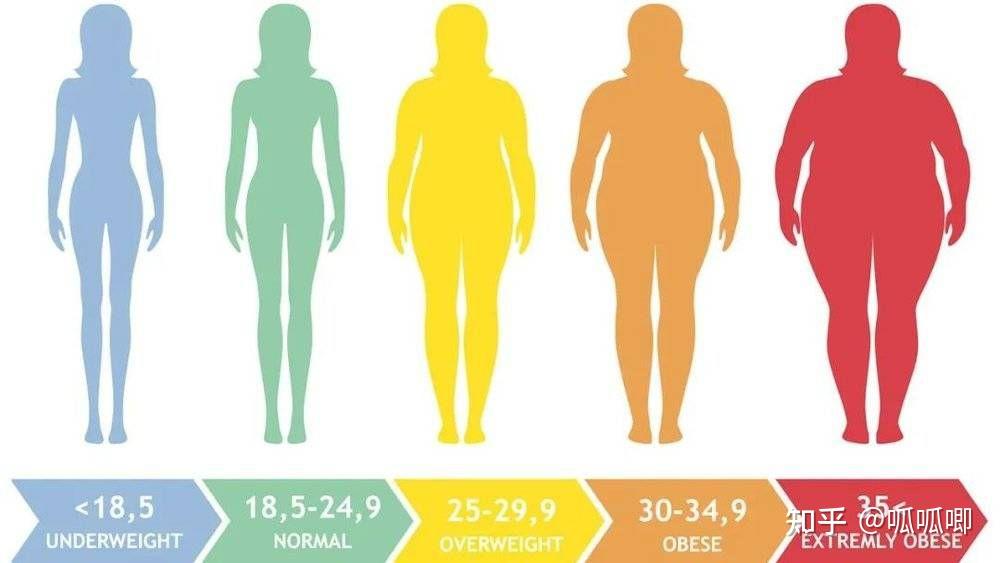 女性bmi是什么意思 - 知乎