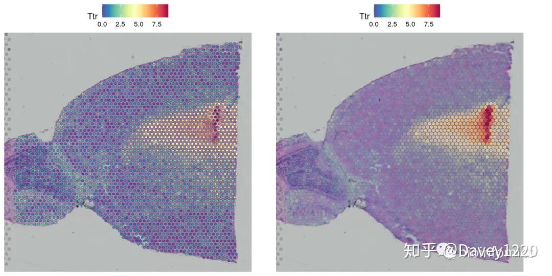 Seurat包学习笔记（三）：Analysis of spatial datasets - 知乎