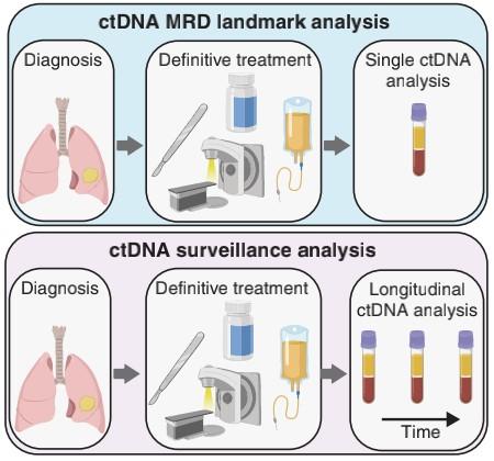 聚焦MRD｜ctDNA检测是评估MRD的明星生物标志物 - 知乎