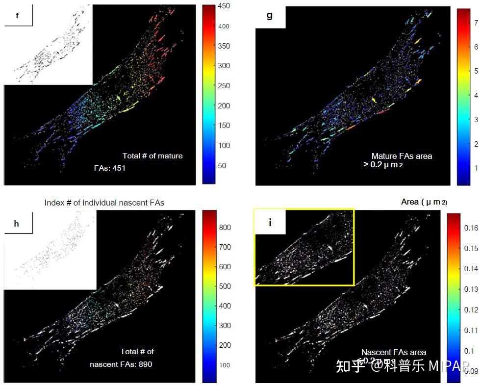 MIPAR图形数据处理：助力MIT发表Nature子刊论文 - 知乎