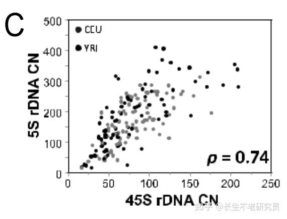 人类细胞45s rDNA copy number扩增实验 - 知乎