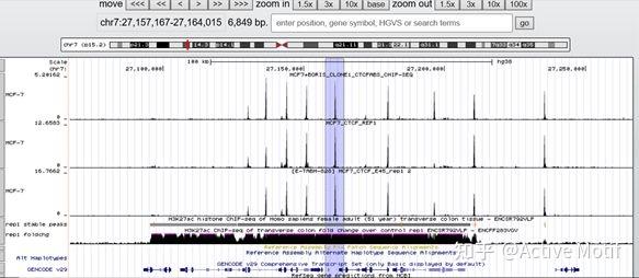 手把手教您设计 ChIP-qPCR 引物 - 知乎