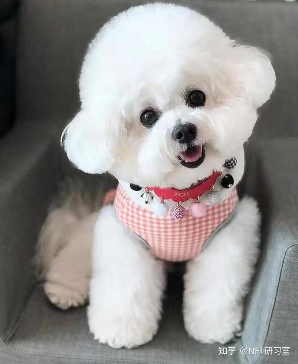 元宇宙经济：实体经济与虚拟经济的深度融合 - 知乎