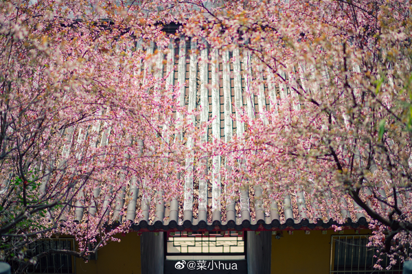 Nikon AF-S Nikkor 58mm F1.4G 原型镜 - 知乎