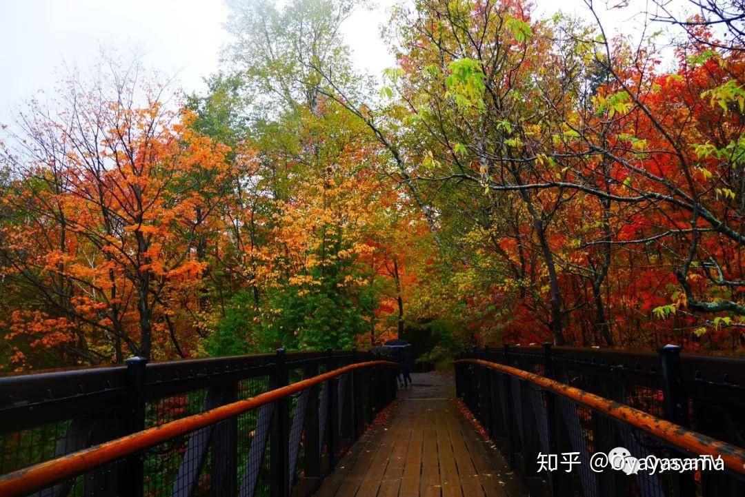 【旅拍图文】满城枫叶惹人醉，一个迷人的城市——魁北克城 - 知乎