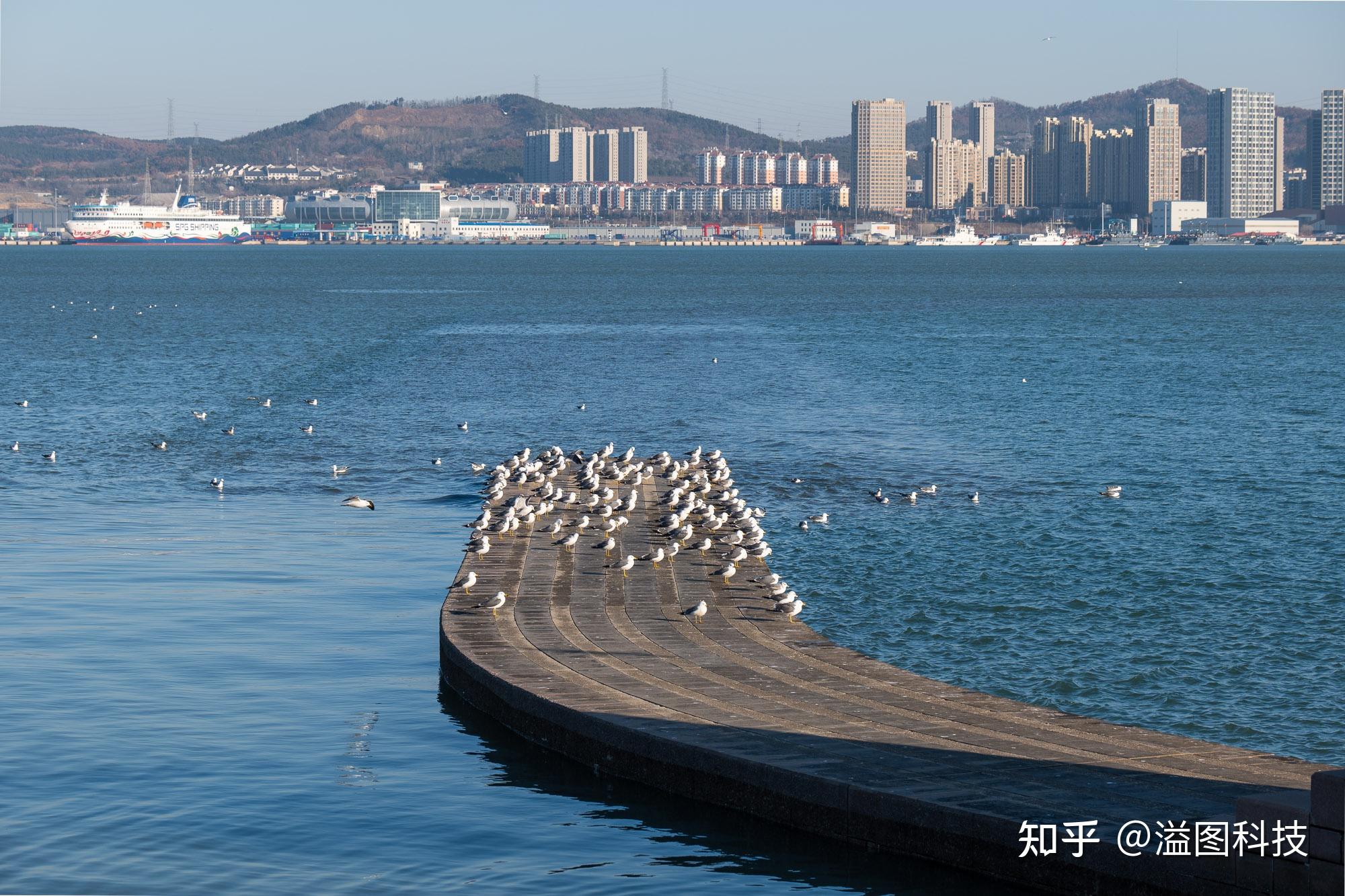 一机一镜轻装旅拍 松下S5M2全幅微单威海沉船实战 - 知乎