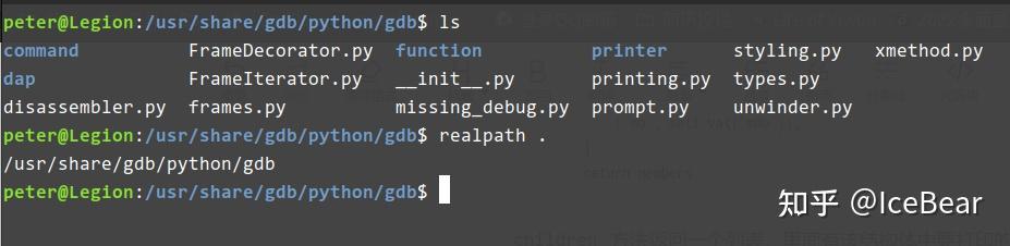 优雅漂亮的调试——GDB Pretty Printer技术实战分享 - 知乎