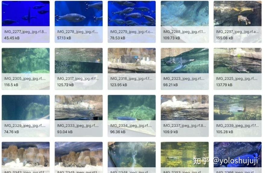 海底水下目标检测数据集支持yolo格式，voc格式，Coco格式20类 9800张 水下生物目标检测 水下数据集 yolov5-v10通用 ...