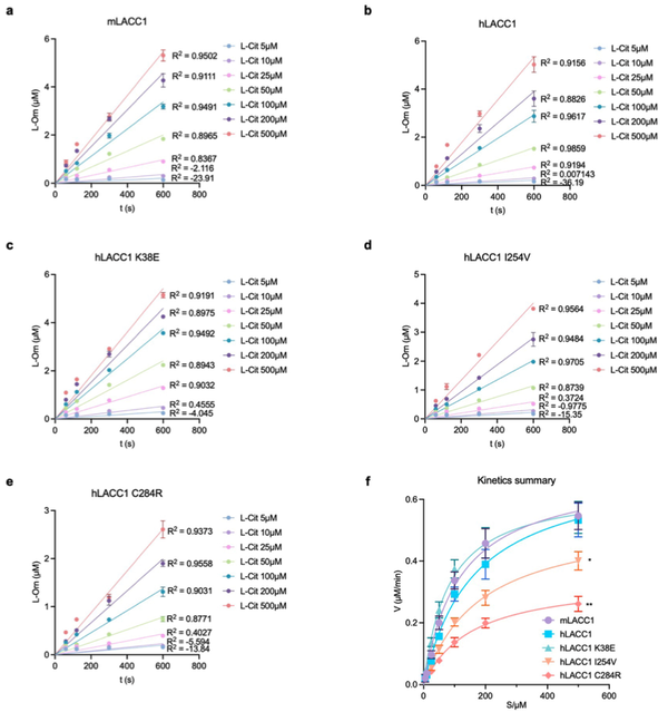 Nature丨LACC1在巨噬细胞免疫代谢的重要作用 - 知乎
