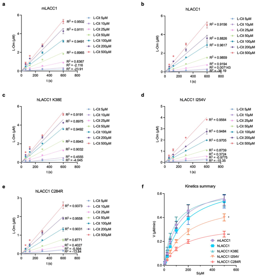 Nature丨LACC1在巨噬细胞免疫代谢的重要作用 - 知乎