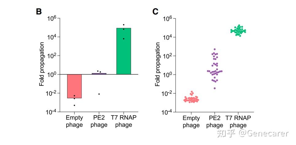 Primer Editor6（PE6)系统介绍！！ - 知乎