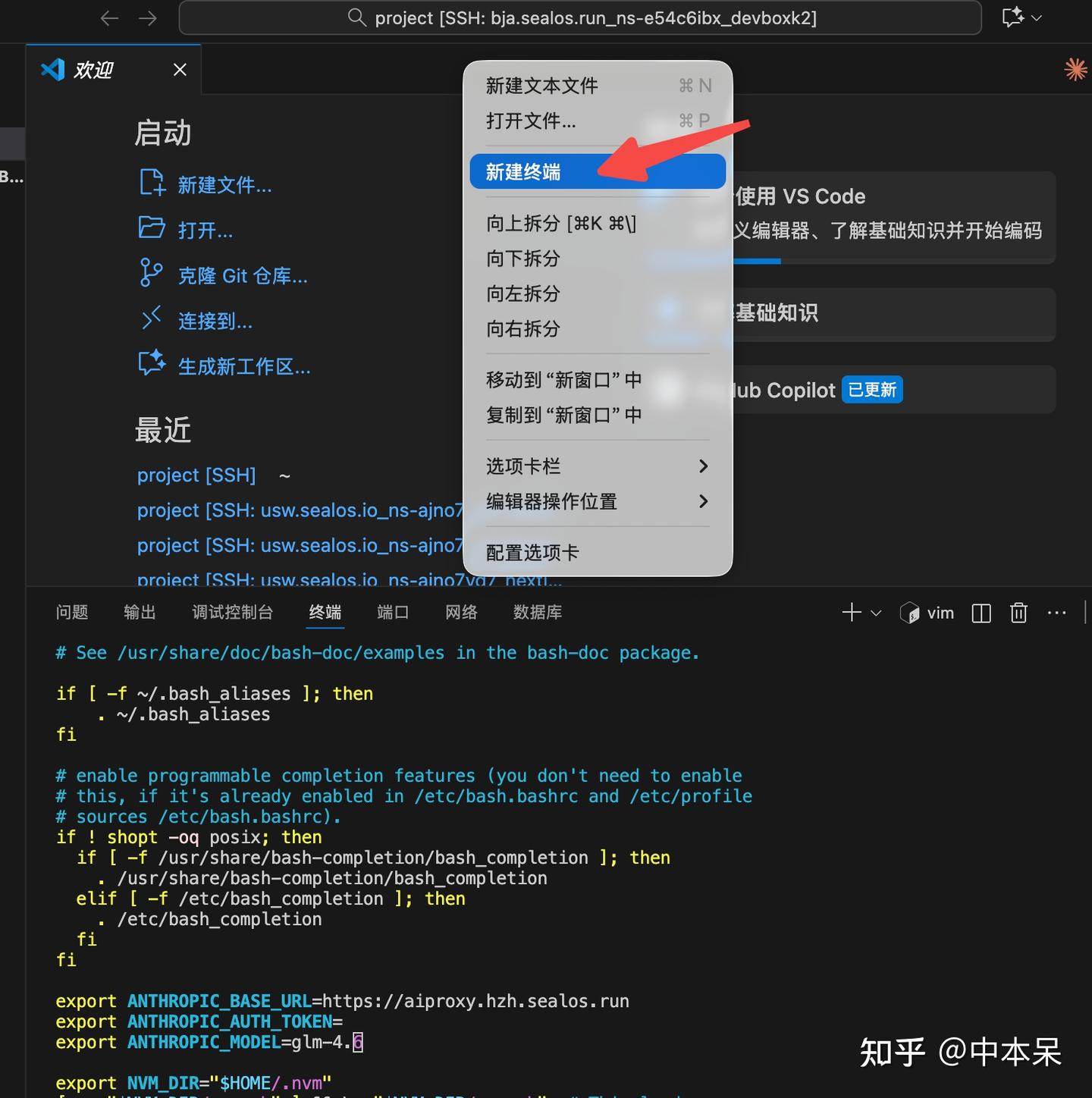 Sealos + Claude code + kimi-k2-thinking 一把梭 - 知乎