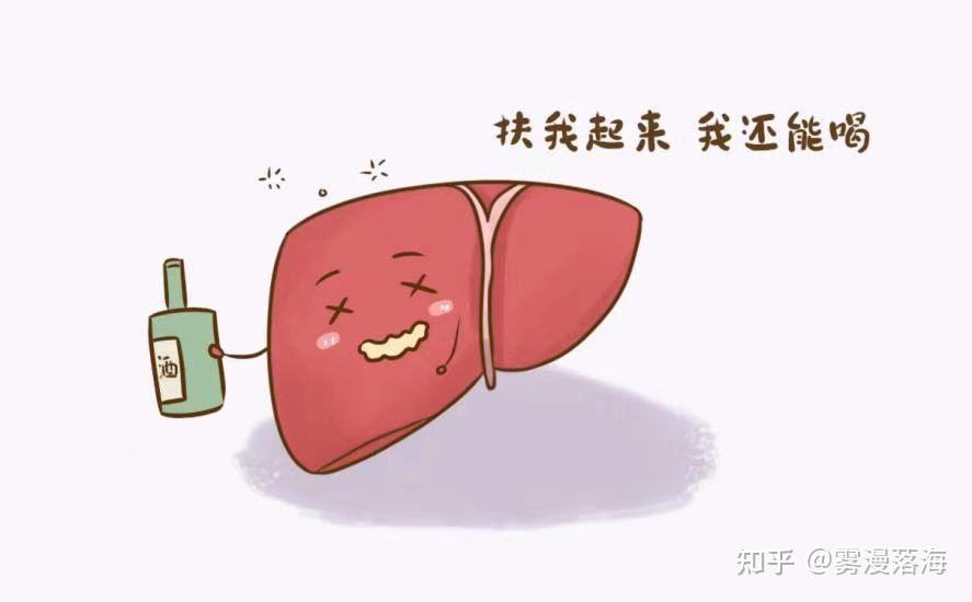 经常喝酒吃什么药护肝你知道吗 知乎