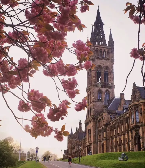 留学课程辅导丨格拉斯哥大学丨会计与财务管理会计硕士辅导 知乎