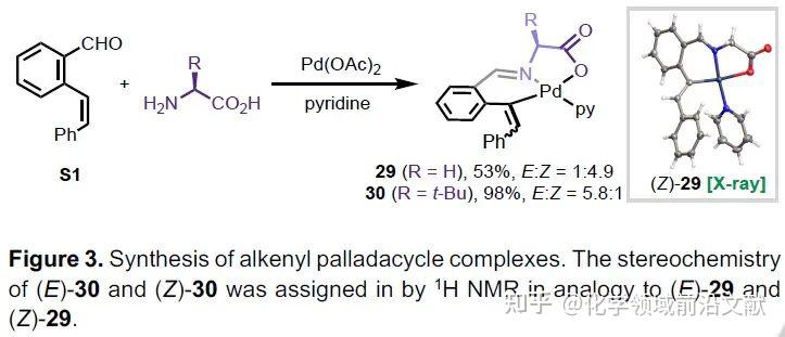 Angew：Pd(II)催化瞬态导向基导向的C(alkenyl)–H活化反应 - 知乎