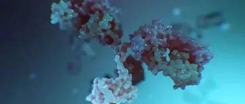 全球首个EGFR/cMET/cMET三抗获NMPA批准临床 | 嘉和生物 - 知乎