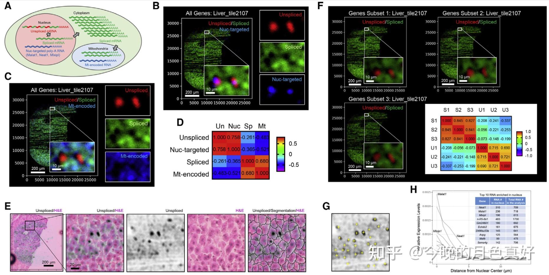 单细胞文章打卡99---Seq-Scope - 知乎