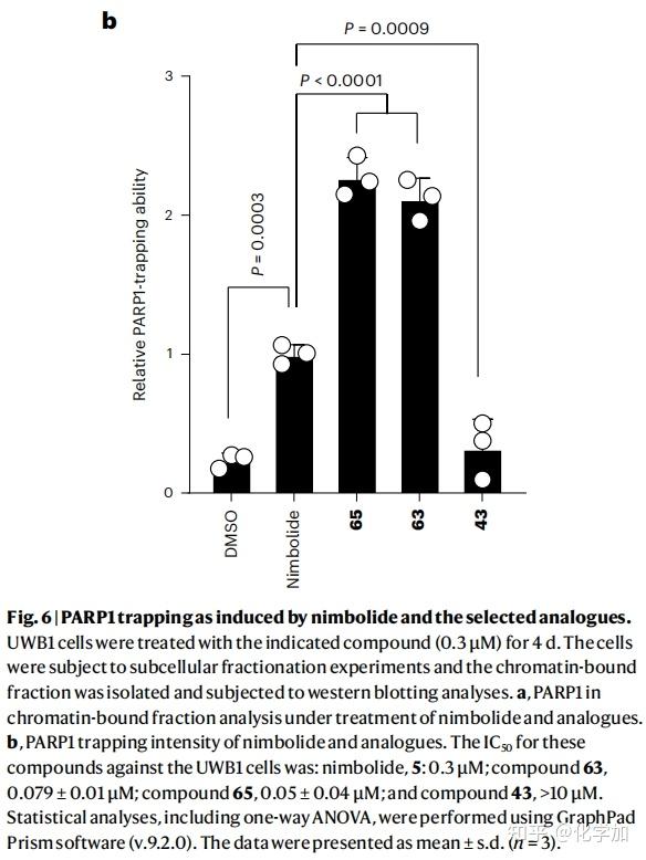 Nat. Synth.：Nimbolide及其类似物的合成和活性研究 - 知乎