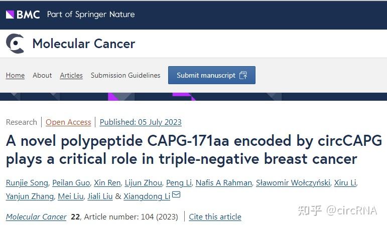 Mol Cancer丨中国农业大学李向东课题组揭示环状RNA编码肽在三阴性乳腺癌中的分子机制 - 知乎