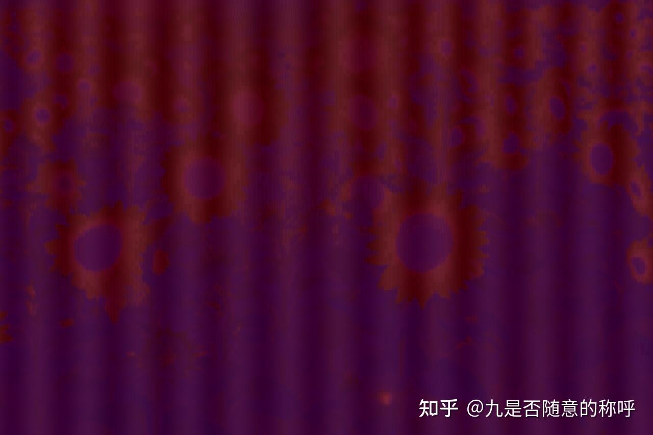 yuv转rgb,420,422,NV12, NV21,I420,YV12,YVYU,YUY2,UYVY, NV16, NV61,NV24 ...