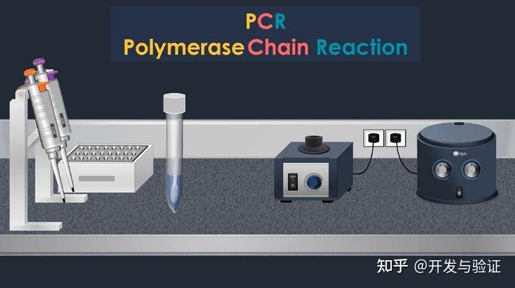 科普 | 实时PCR检测如何检出新冠病毒？ - 知乎