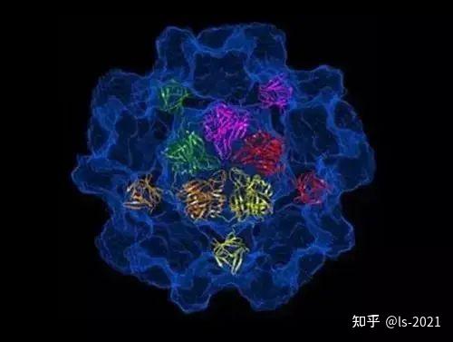 关注｜肝炎病毒知多少？ - 知乎