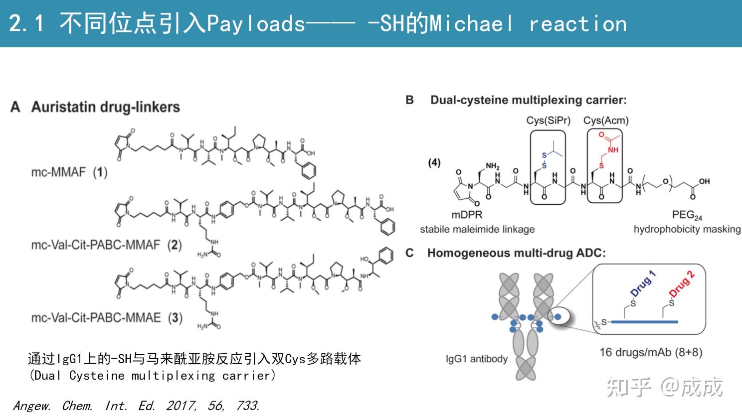 双载荷ADC的构建思路| Antibody-drug conjugates with dual payloads - 知乎