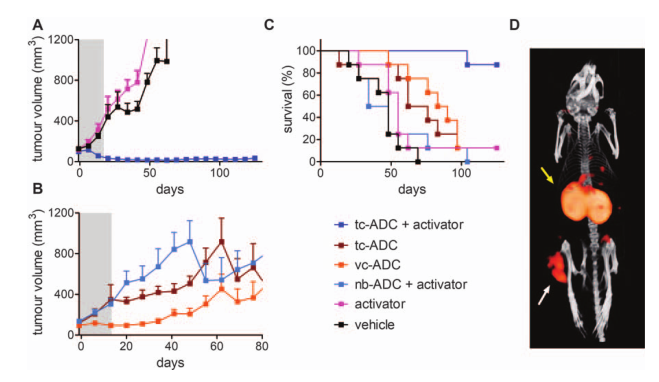 下一代新型ADC: 点击化学ADC - 知乎