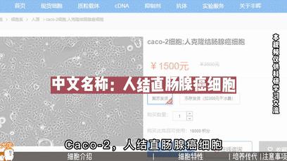 Caco-2细胞培养，人结直肠腺癌细胞培养攻略 - 丰晖生物 - 知乎