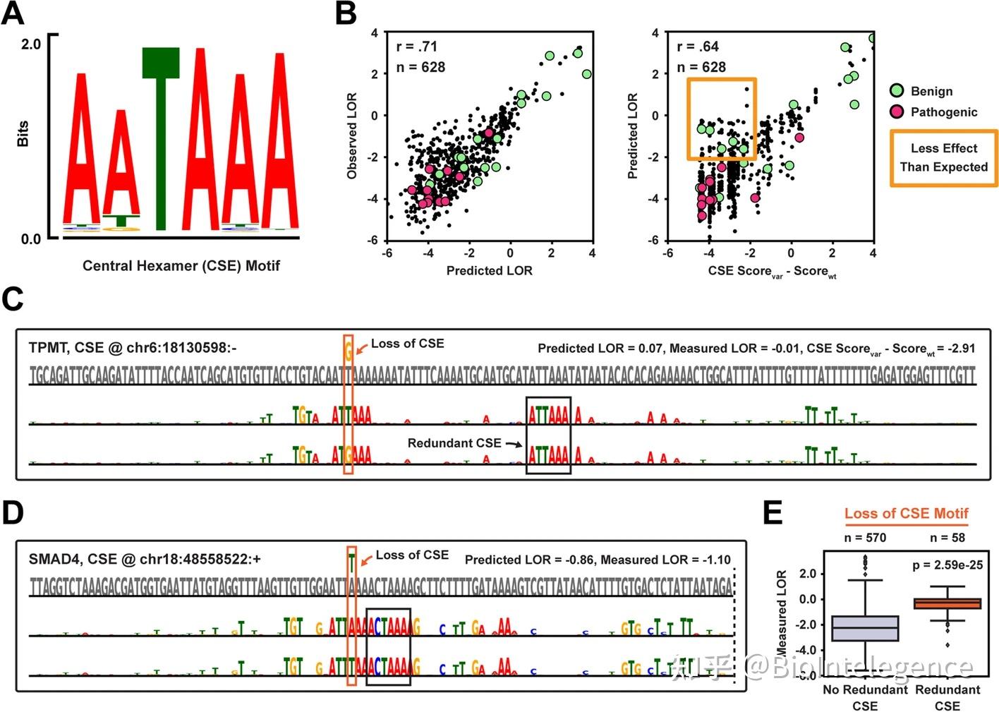 使用APARENT2破译遗传变异对人类聚腺苷酸化的影响 - 知乎