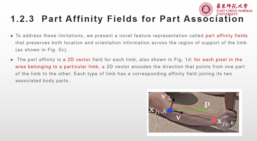 Openpose论文解读——realtime Multi Person 2d Pose Estimation Using Part Affinity Fields(openpose学习笔记1