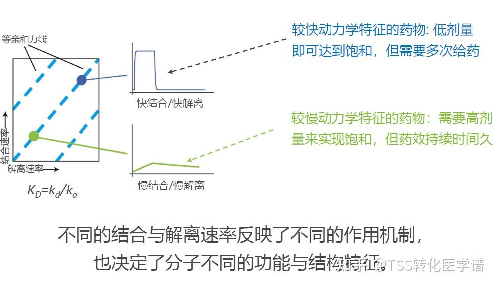 常用ITC、SPR、ELISA等方法如何检测受体和配体分子间相互作用Kd - 知乎