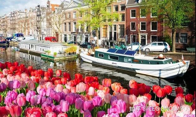 【全篇解析】荷兰留学Nuffic认证 - 知乎