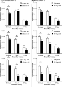 一个关于aging fly brain平淡无奇的研究 - 知乎
