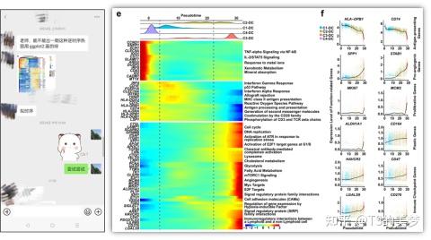 ggplot修饰monocle2拟时热图：一众问题全部解决 - 知乎