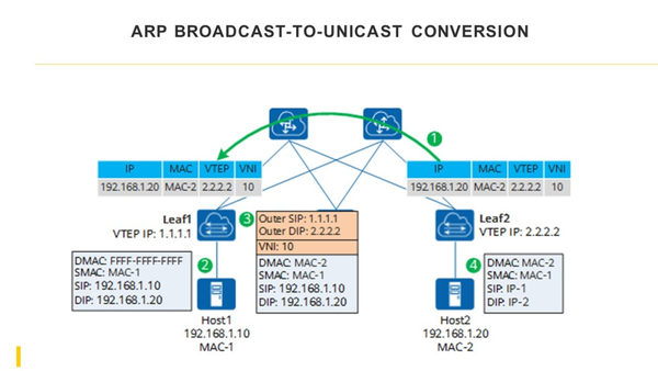 一文读懂EVPN技术 - 知乎