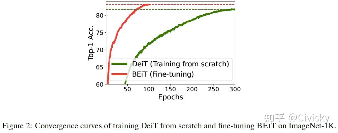 BEiT：图像Transformer的BERT式预训练 - 知乎