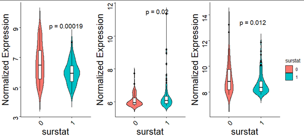 R语言ggpubr绘制小提琴图（violin plot） - 知乎