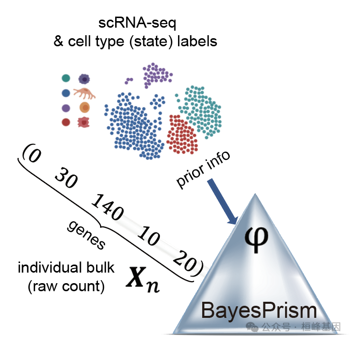 SCS【41】基于贝叶斯反卷积法整合分析bulk和scRNA-seq (BayesPrism) - 知乎