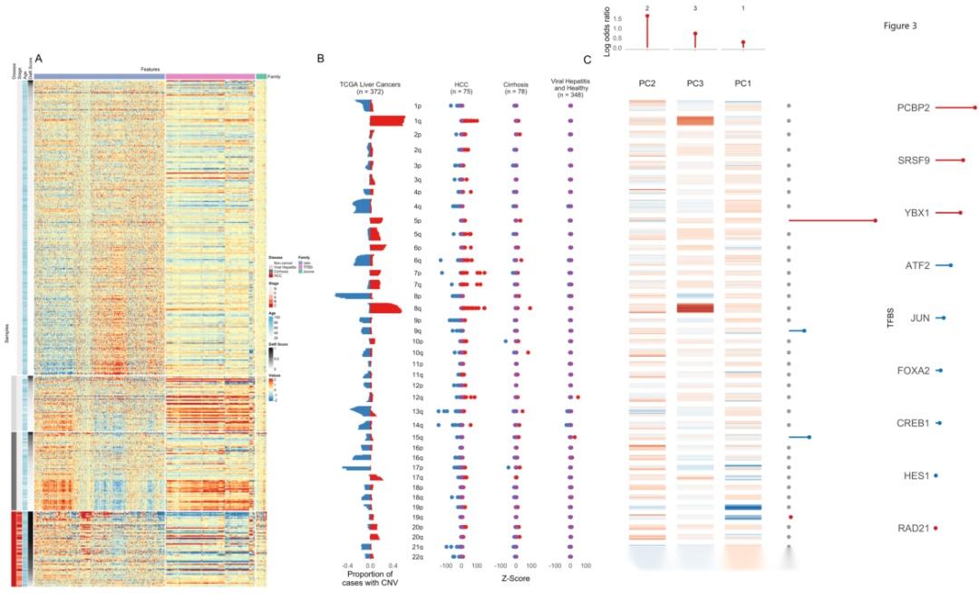 Cancer Discov | 肝癌全基因组cfDNA片段化特征检测方法DELFI，可高灵敏度、特异性筛查高危人群 - 知乎