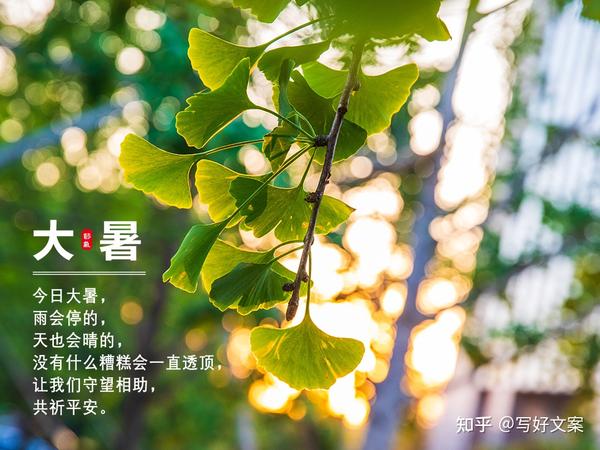2021大暑节气朋友圈文案15句,每一句都好走心 知乎