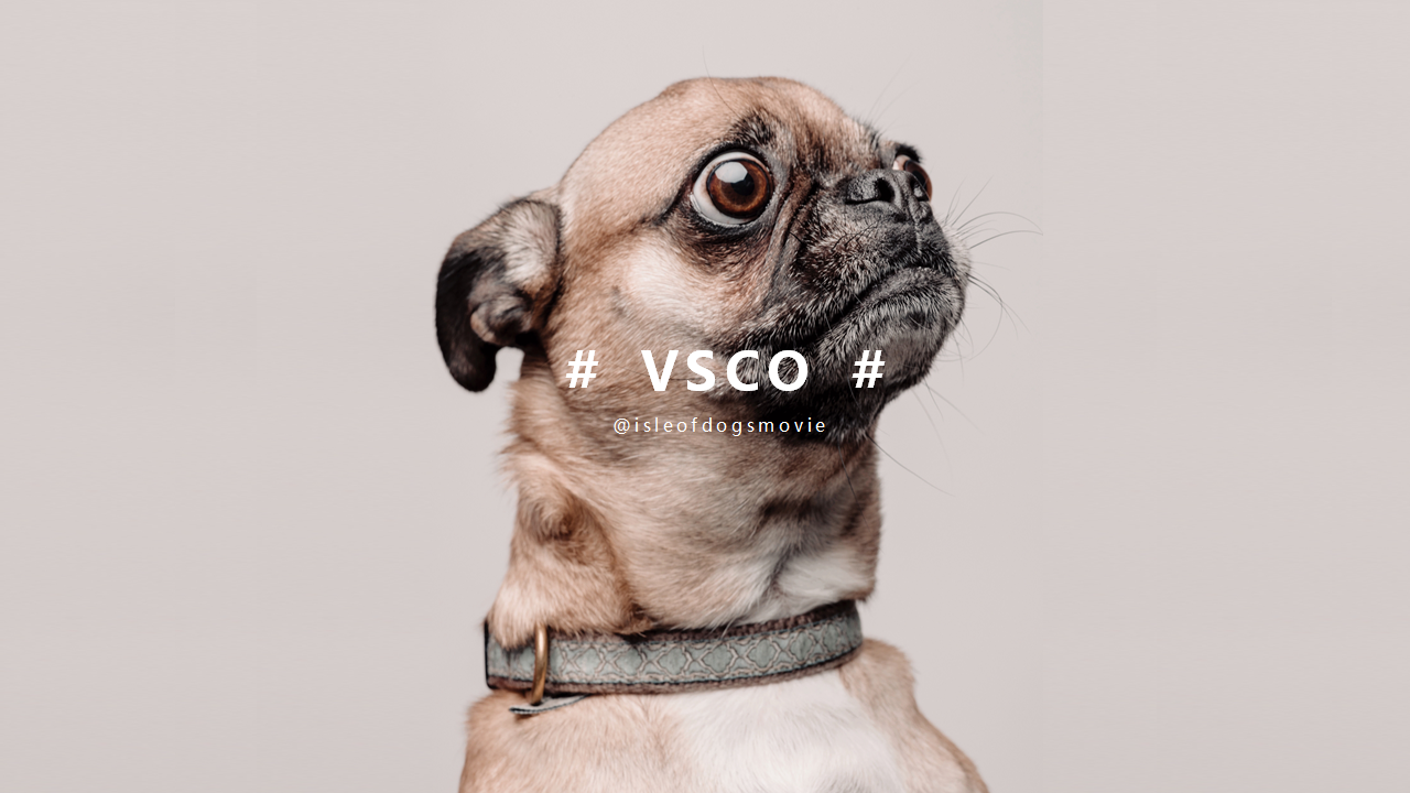 手机摄影APP- VSCO 操作指南 - 完整篇 - 知乎