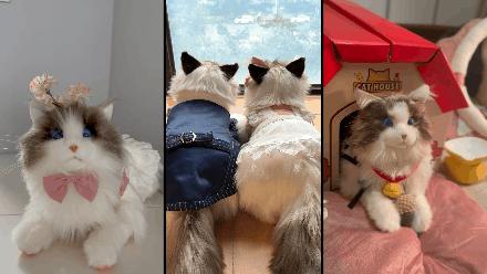 大象机器人：超萌metaCat米塔猫，硬科技也可以柔软治愈 - 知乎