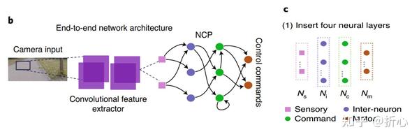 一些文章: Neural circuit policies enabling auditable autonomy - 知乎