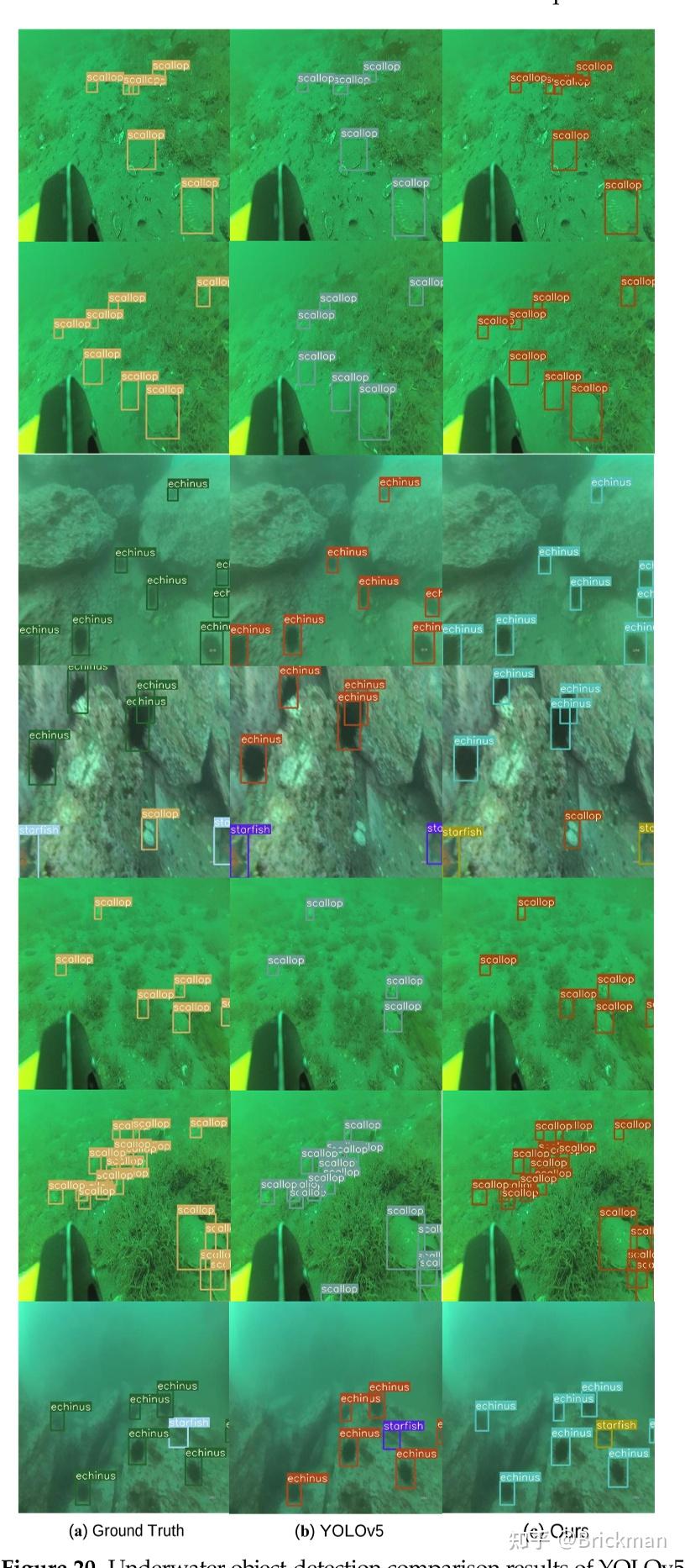 文献阅读：An Improved YOLOv5-Based Underwater Object-Detection Framework ...