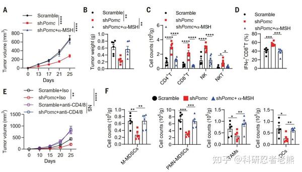 Science | 垂体产生的激素α-MSH促进肿瘤诱导的髓系造血和免疫抑制 - 知乎