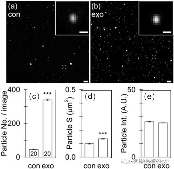 文献解读：一个表格让你全懂PKH标记外泌体！ - 知乎