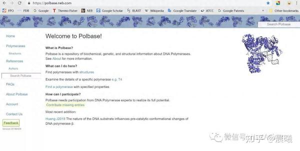 史上最全高保真DNA聚合酶（Family B）特点详解 - 知乎