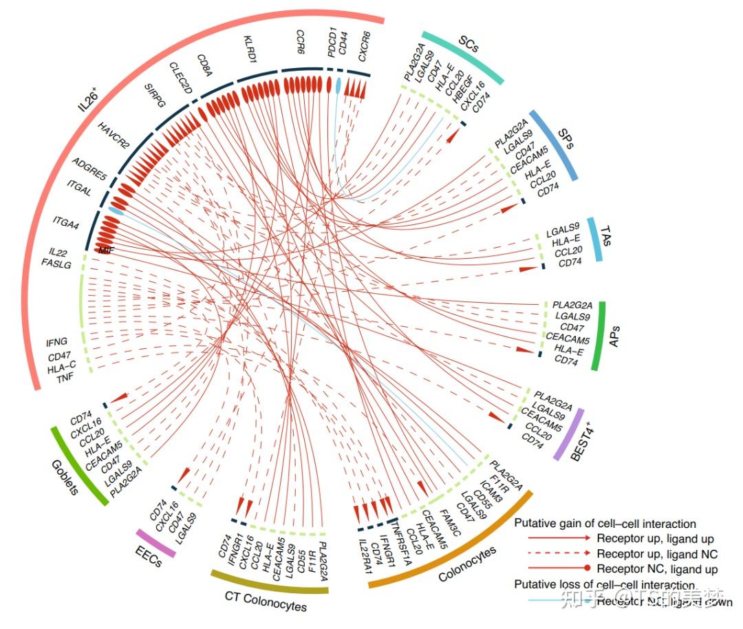 iTALK：受配体差异分析 - 知乎